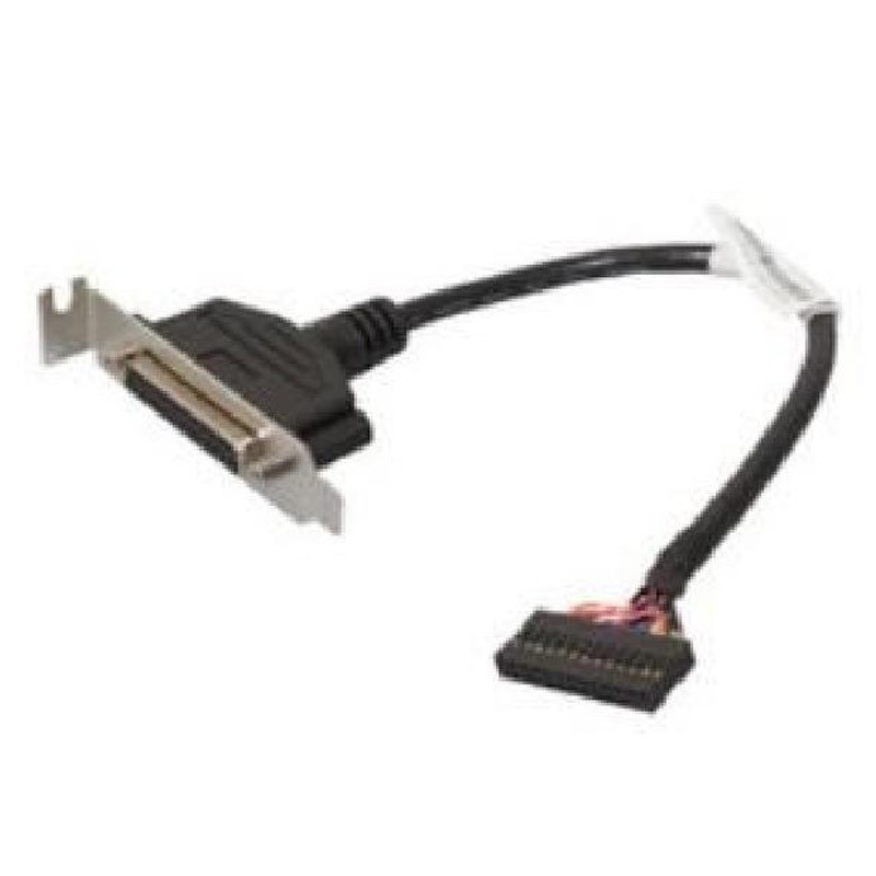 Câble Panel Port Parallèle IBM 45J9598 25cm Low Profile ThinkCentre ...